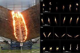 FuegoLab: ¿Puede un incendio forestal ser eruptivo como un volcán?