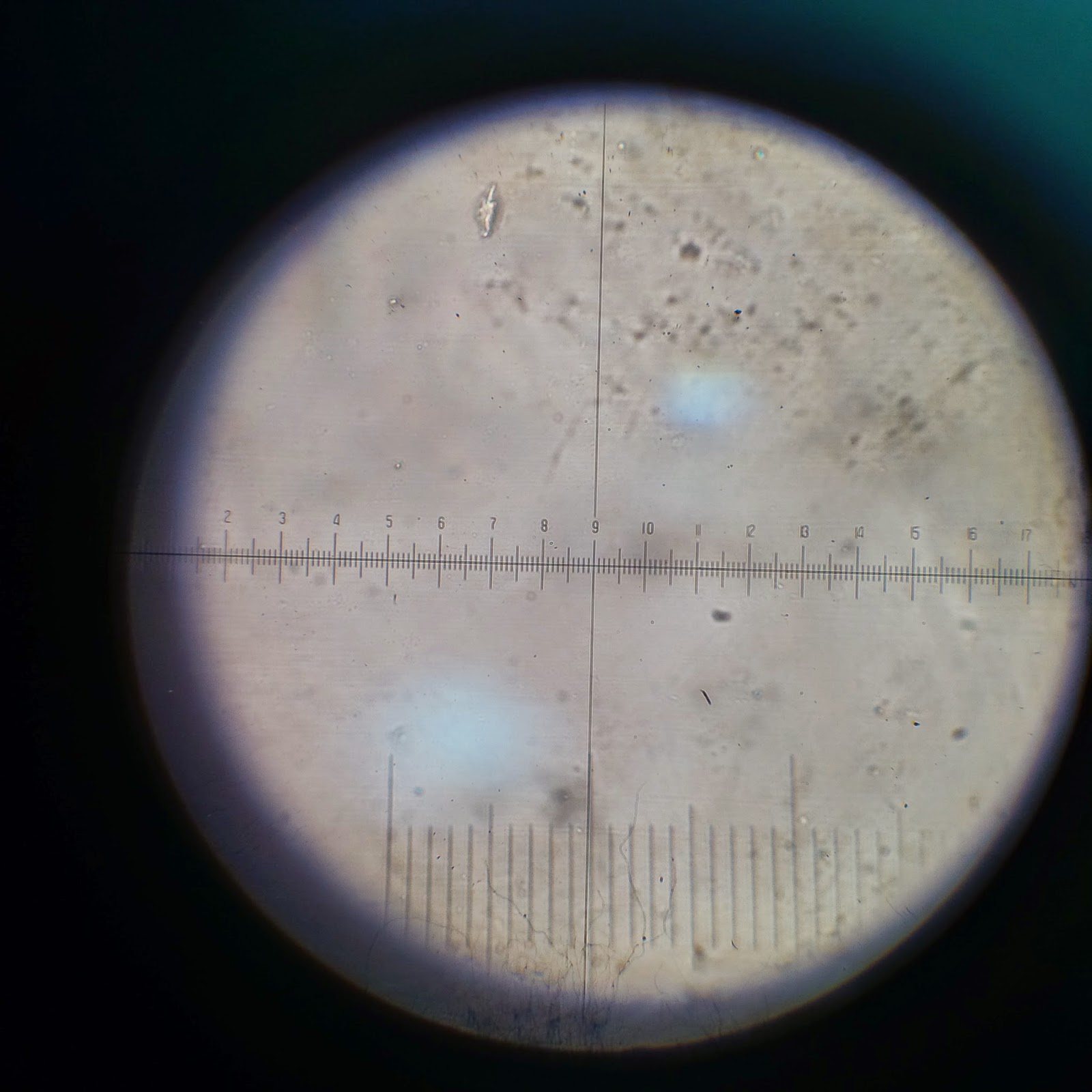 Lab IBG102: Lab 2: Measurement and Counting of Cells Using Microscope