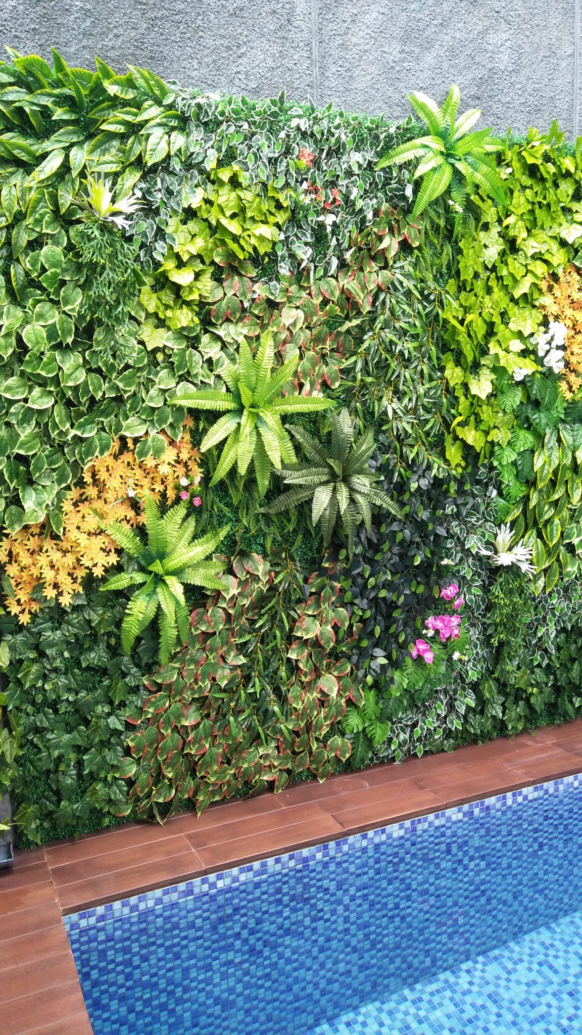 TUKANG TAMAN VERTICAL GARDEN DAERAH TANGERANG DAN SEKITARNYA | JUAL ...