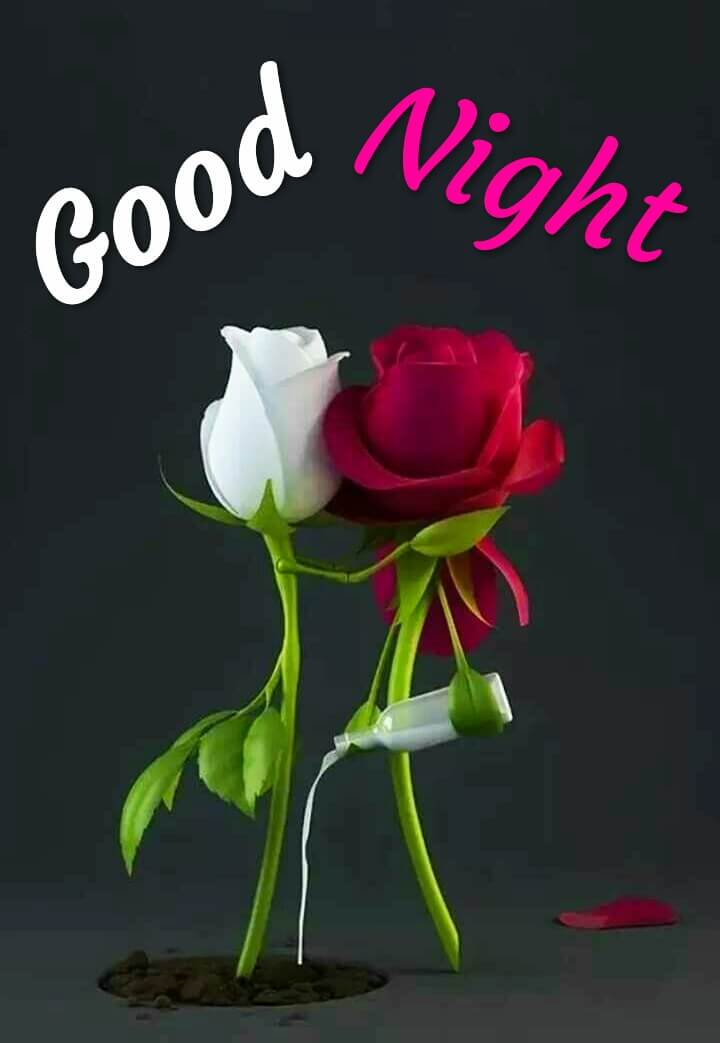 Best 30+ Good Night Images For Facebook || Good Night Images For ...