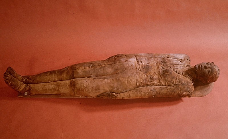 Sobre momias y momificaciones: mummy of a female