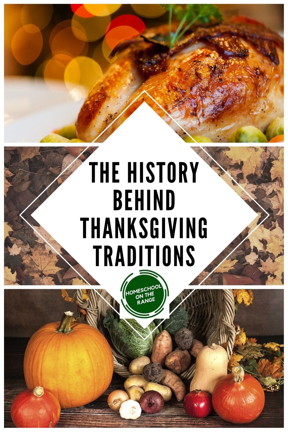 Homeschool On the Range: The History Behind Thanksgiving Traditions ...
