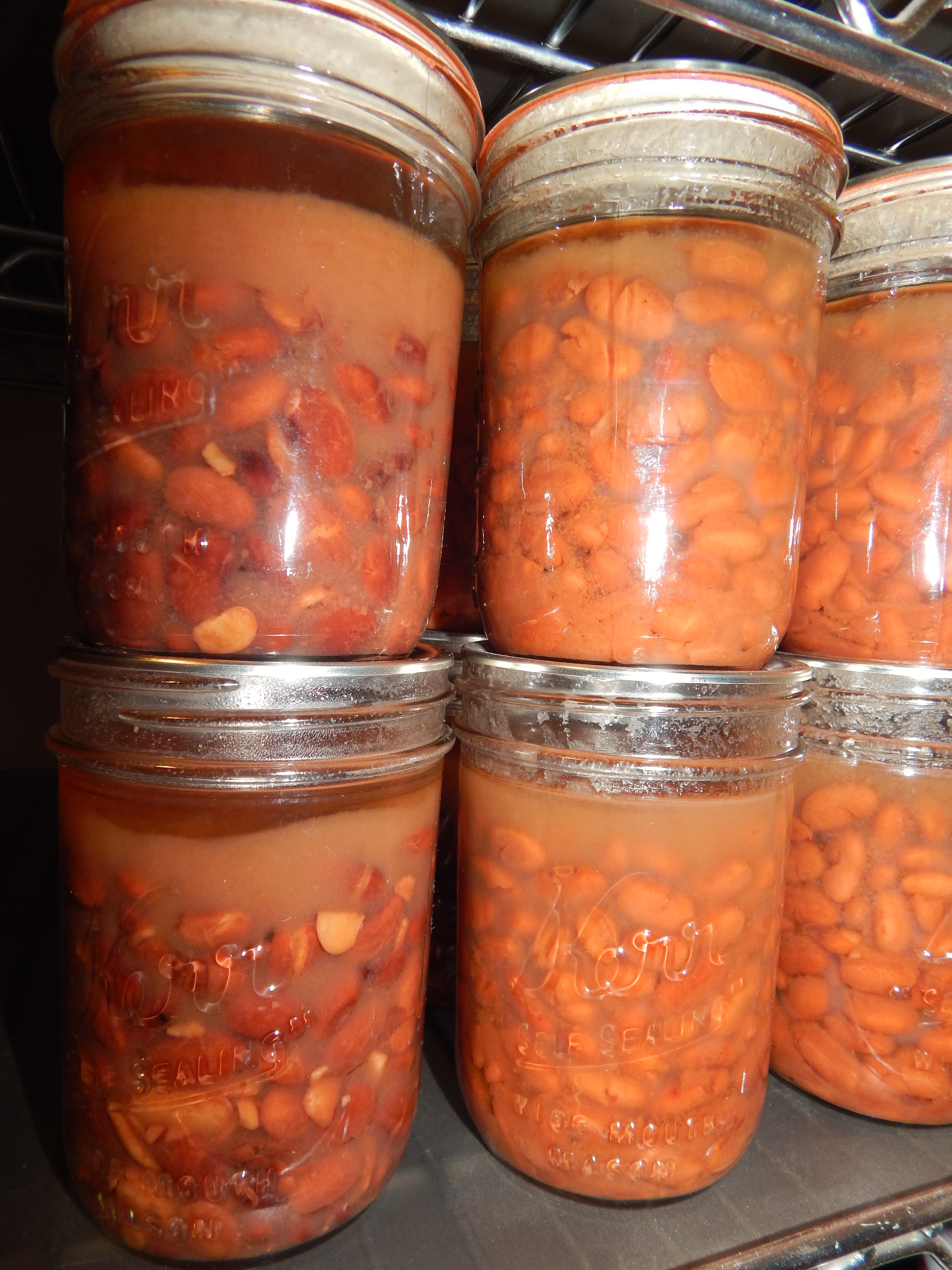 Thoughts from Frank and Fern: The Incredible Pinto Bean