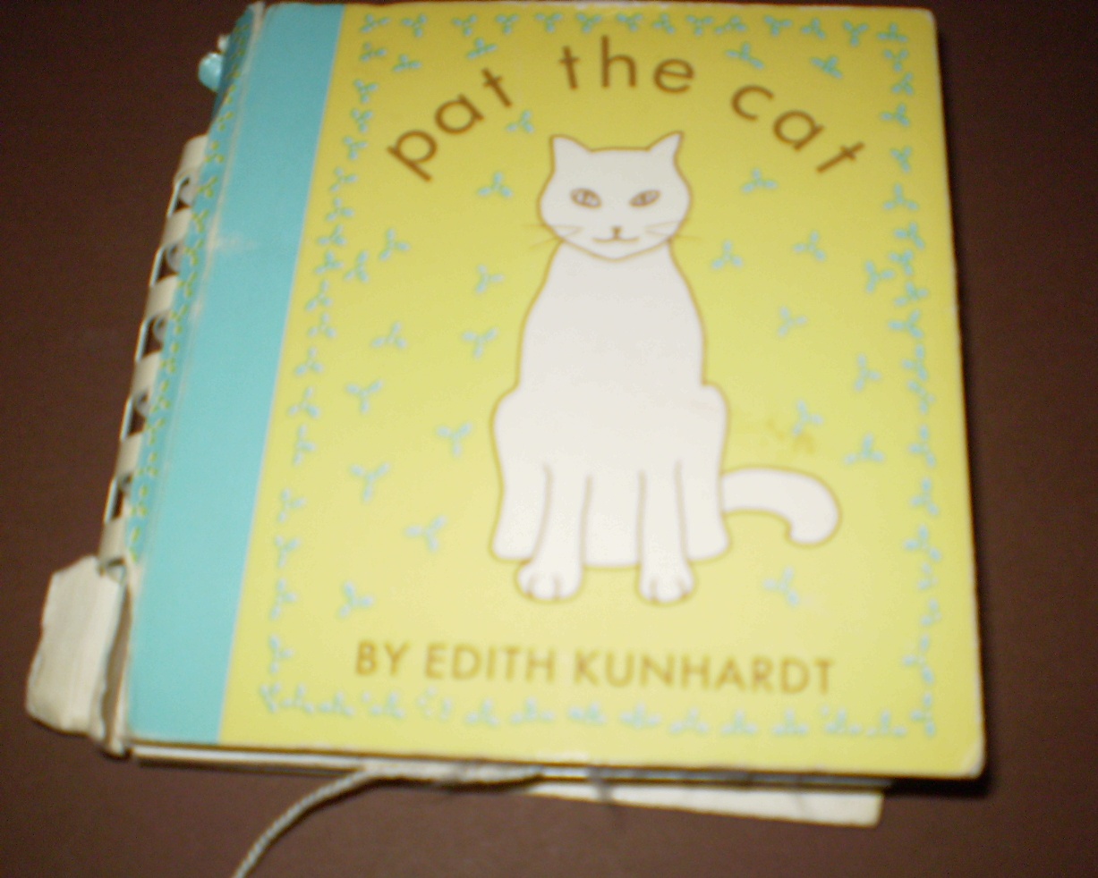 GALLERY FUNNY GAME: Pat the cat book, pat the cat colin hawkins