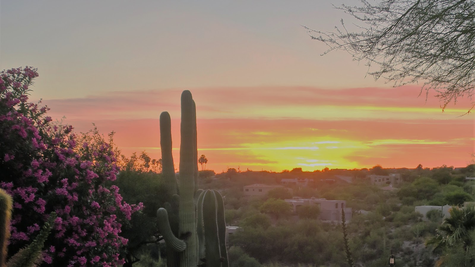 Living Rootless: Tucson, AZ: Sunset at Hacienda del Sol