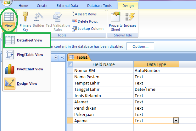 juli eka yanti: LANGKAH - LANGKAH MEMBUAT FORM,TOMBOL BUTTON,REPORT ...
