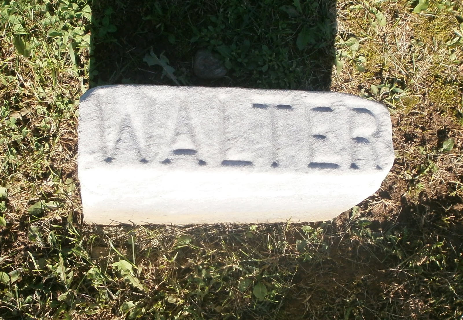 History in Stone: The Ceely Rose Tragedy