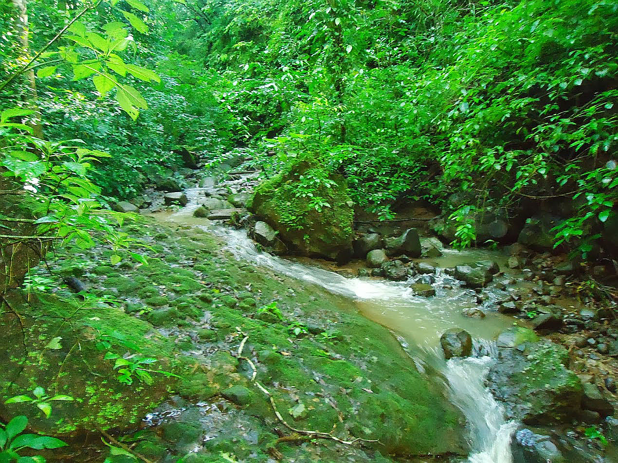 ACTITUD INDIGENA: Los Mayas usaron la pólvora hace 7000 años. Parte 1