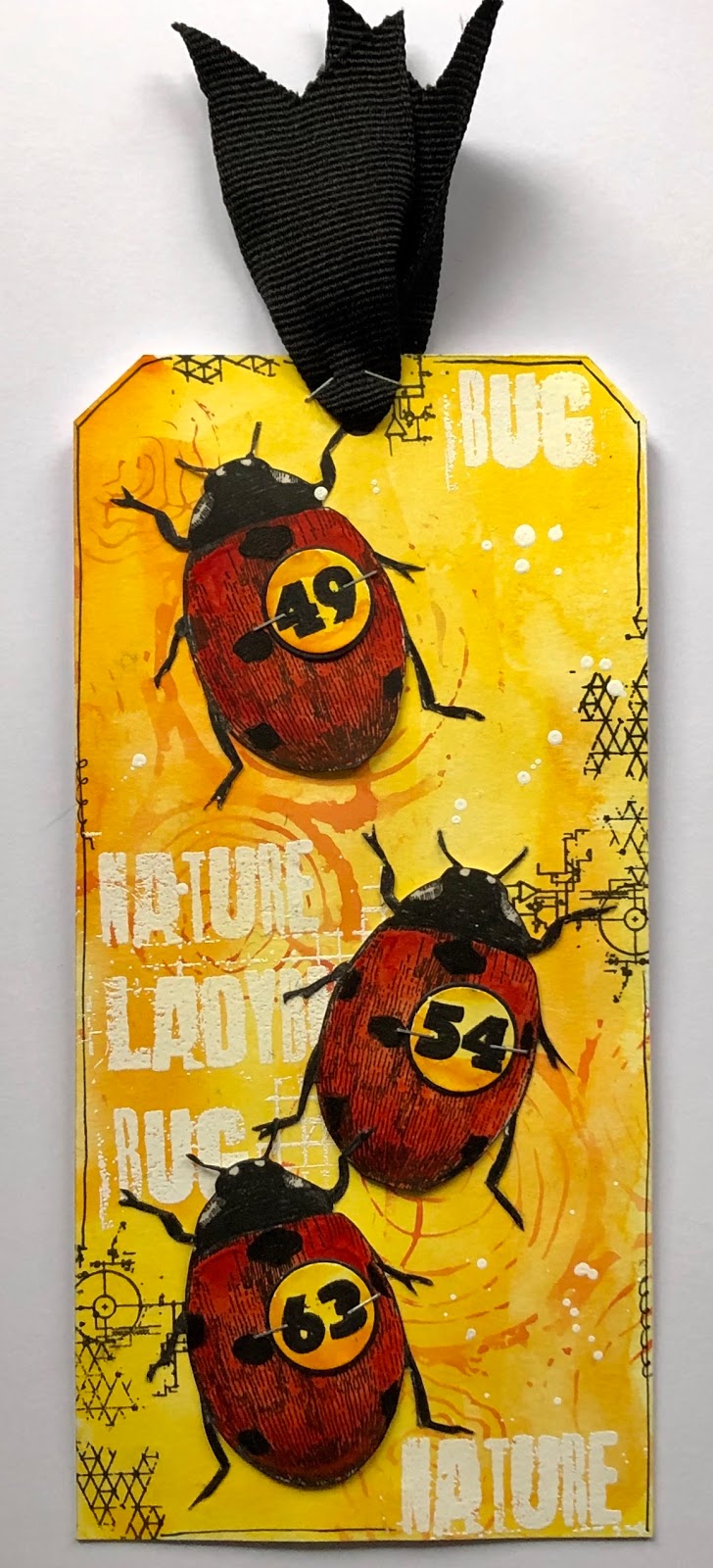MadeByCHook: Racing ladybugs
