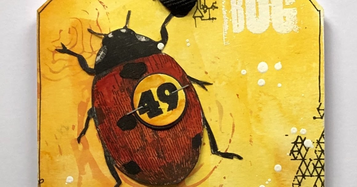 MadeByCHook: Racing ladybugs