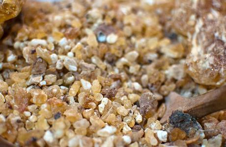 Tamaia topeste pietrele la rinichi - Pinguinul machitor, informatii machite