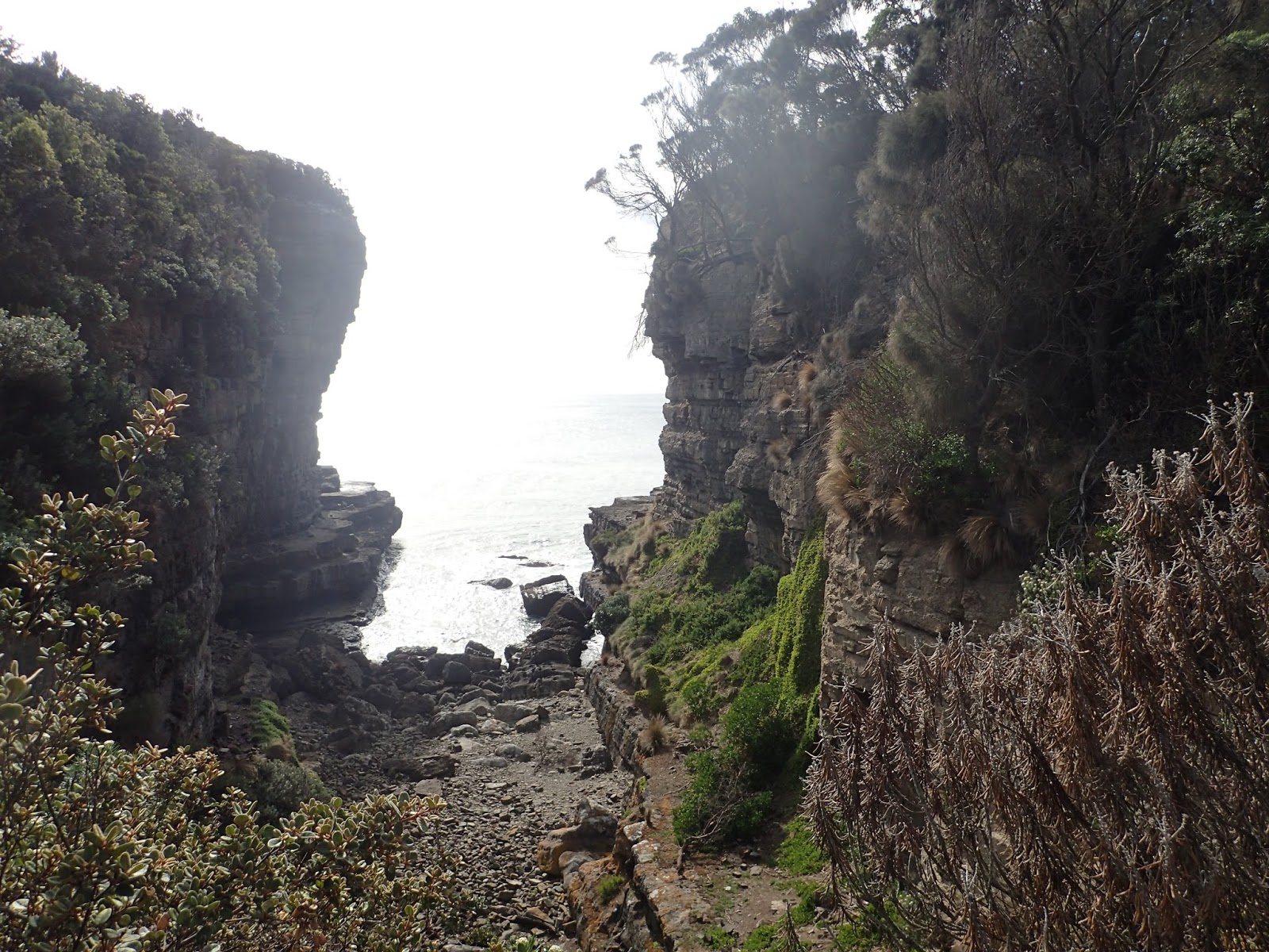 Waterfall Bluff | Hiking South East Tasmania