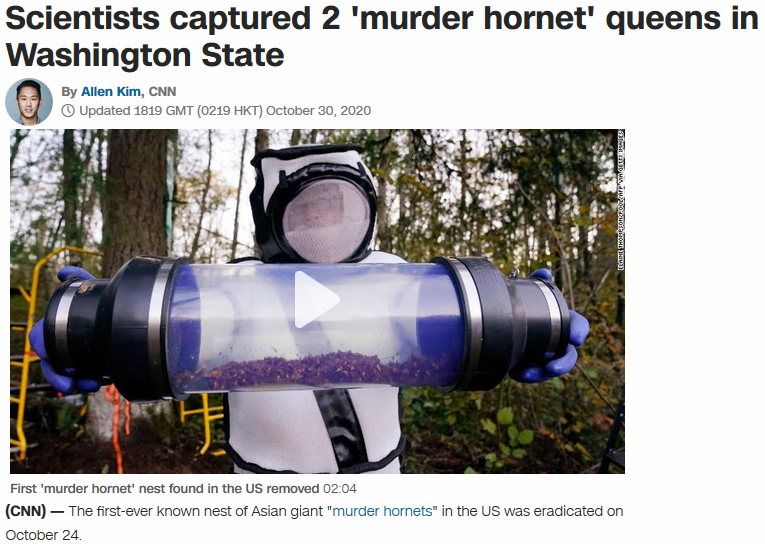 TECHNIC AUTO CAR: ศัพท์ข่าวรายวัน 31-October-2020