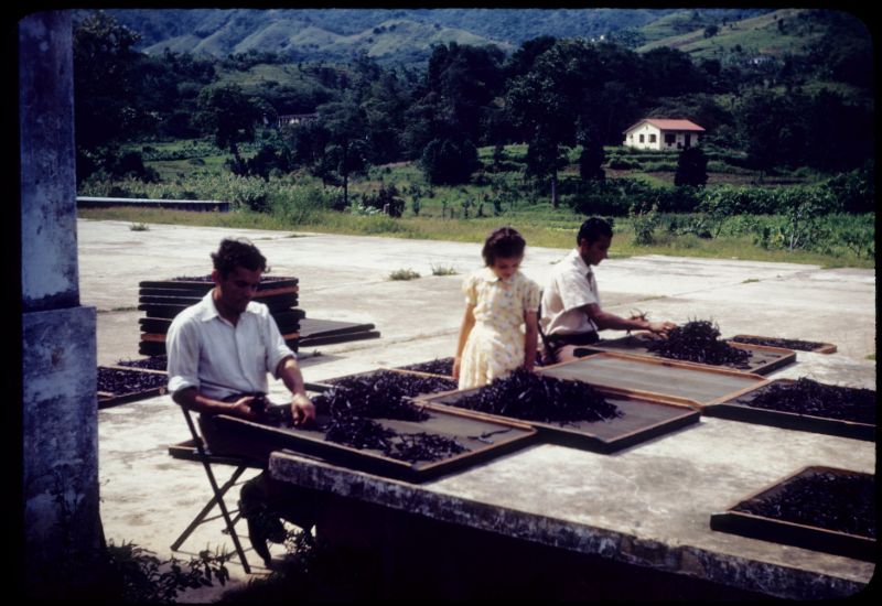 Everyday Life of Puerto Rico in the Mid-1940s Through Amazing Color ...