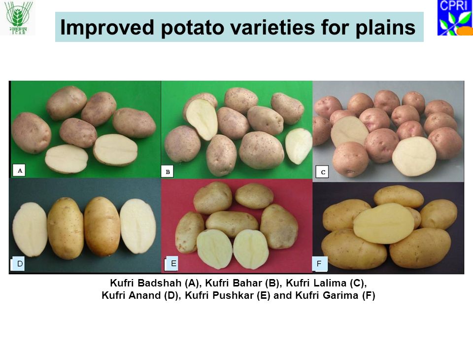 Maturity Definition Maturity Indices