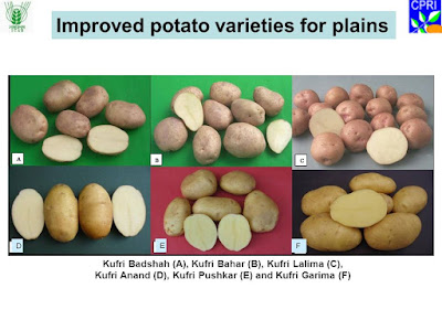 Maturity Definition Maturity Indices