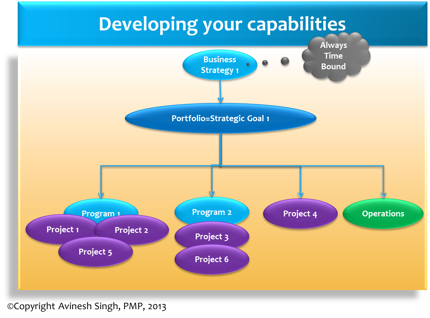 PMP Training by Avinesh Singh: How did a Project come into existence