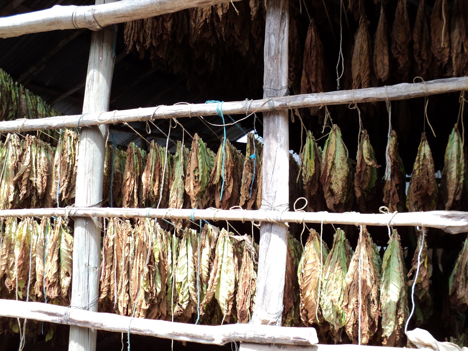 Análisis literario Hay que pensar en la lectura como práctica y como ...