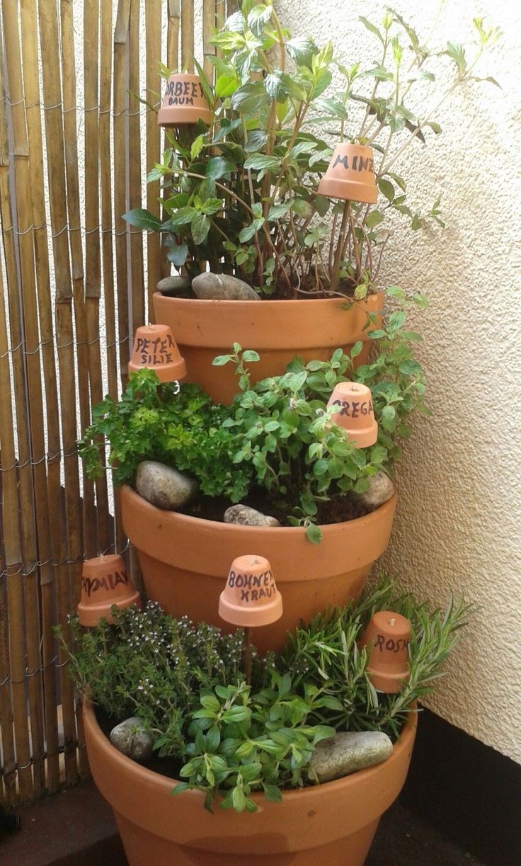 Crea en un 2x3: Crea bellos mini jardines en macetas de barro