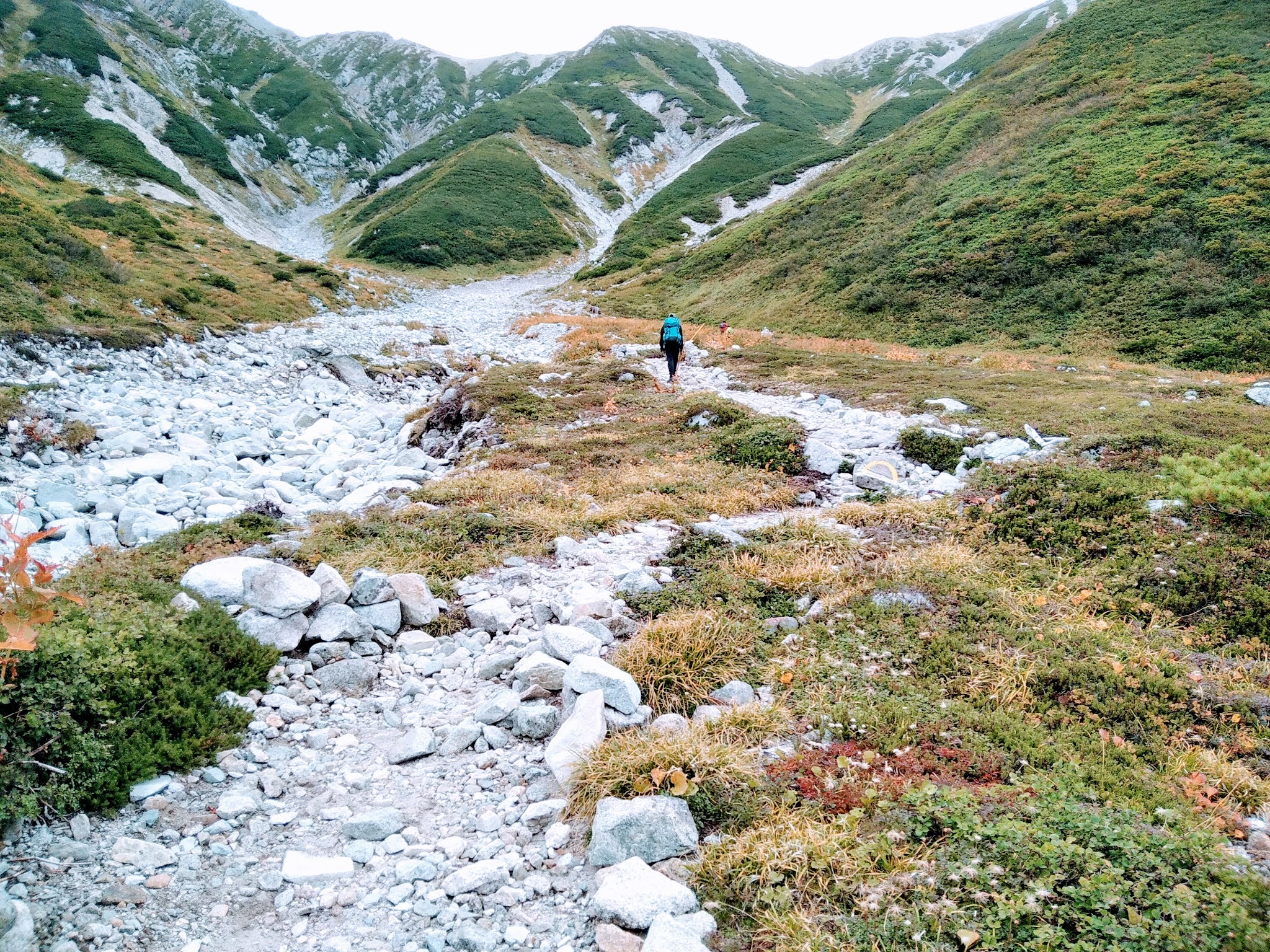 bagustris@/home: 2020