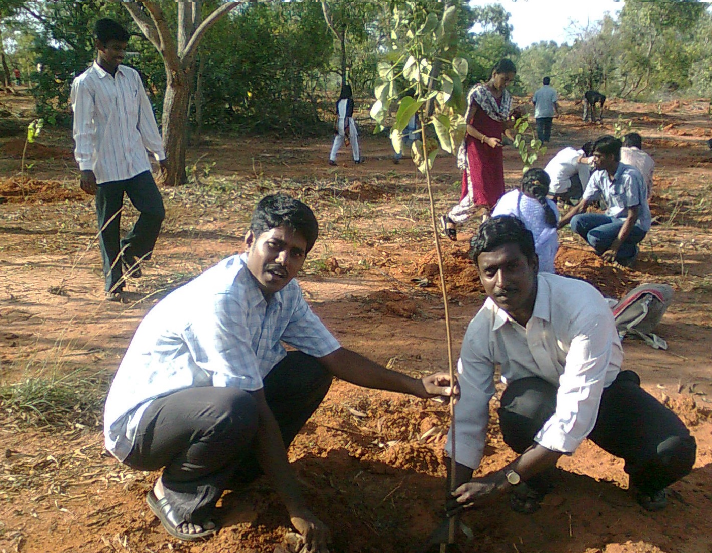 Tree Plantation Program on the Pondicherry University Campus.