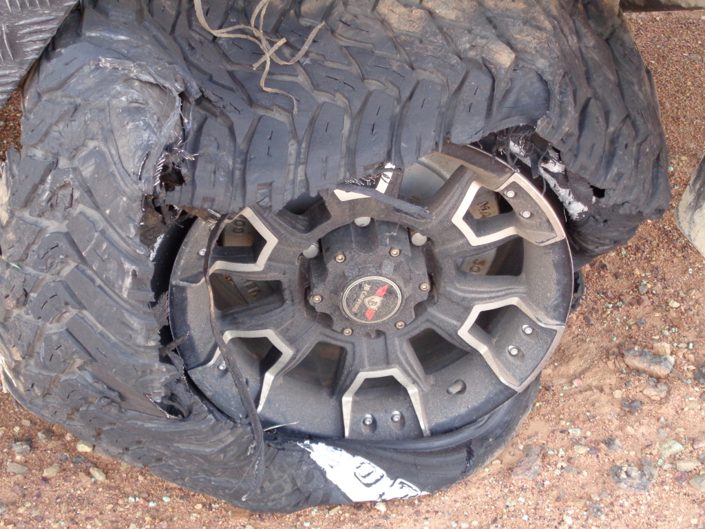 Jervoise Station, Queensland 2016