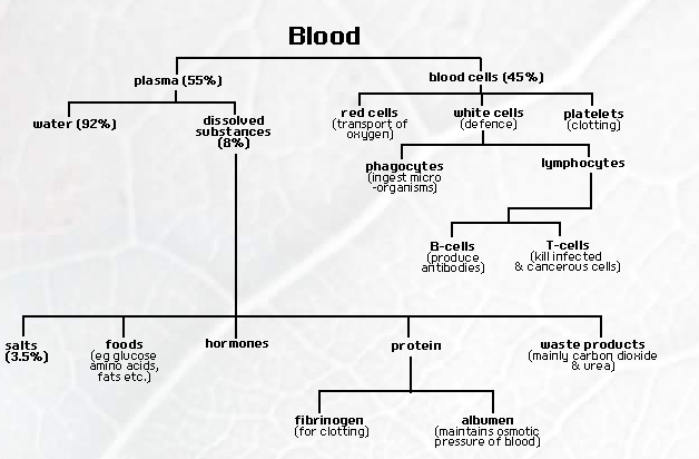# 73 Blood composition and Plasma | Biology Notes for IGCSE 2014 & 2022