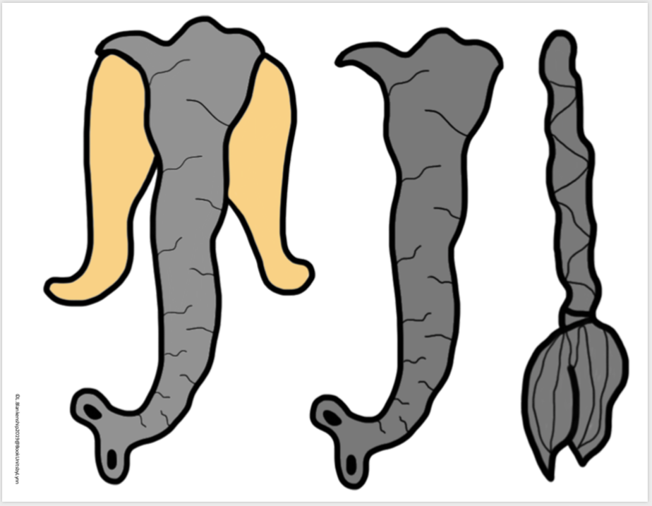 SEVEN BLIND MICE TEACHER PUPPET STICKS ~ Book Units by Lynn