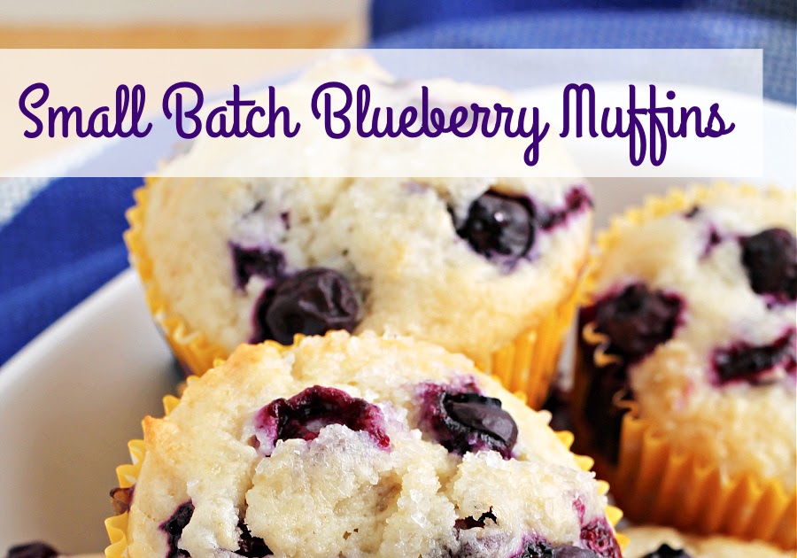 Frugal Foodie Mama: Small Batch Blueberry Muffins
