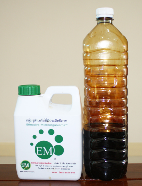 การทำปุ๋ยหมักชีวภาพและการทำ EM Ball : การทำปุ๋ยหมักชีวภาพ EM BALL