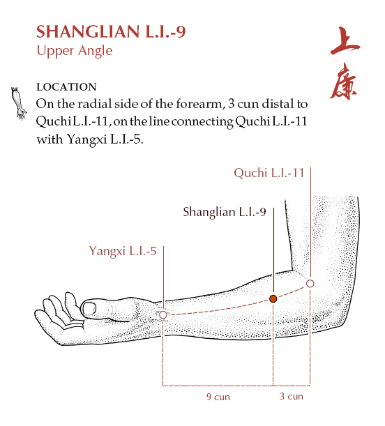 Acupuncture Masters: Acupuncture Points Database - Large Intestine channel