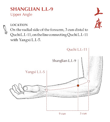 Acupuncture Masters: Acupuncture Points Database - Large Intestine channel