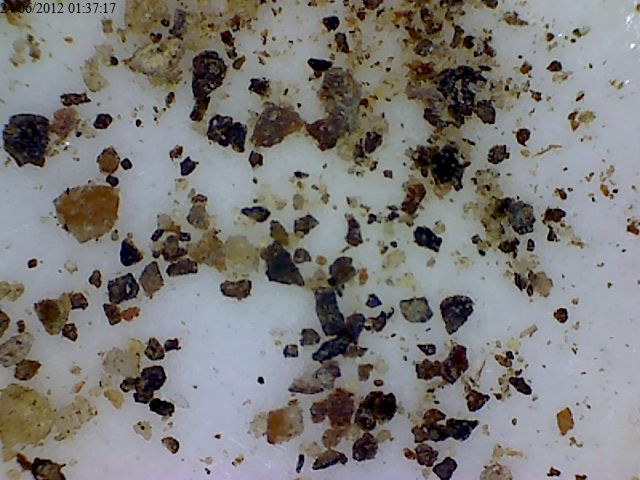 Nottingham Science Blog: Food under the microscope