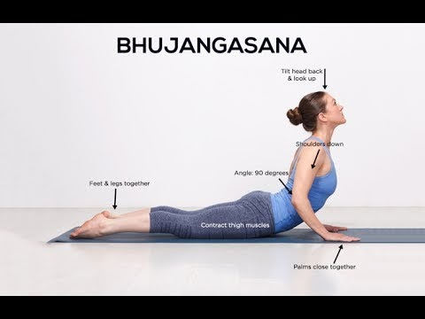 Bhujang Asana
