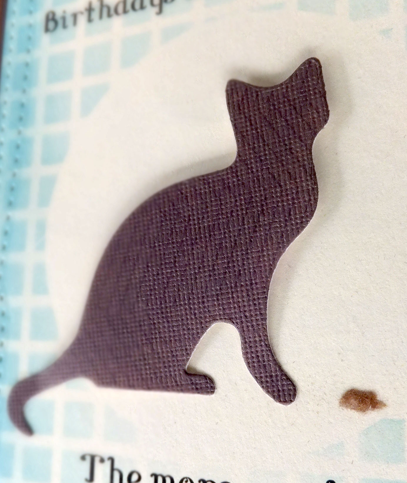 Paper Panacea: Cat cards...