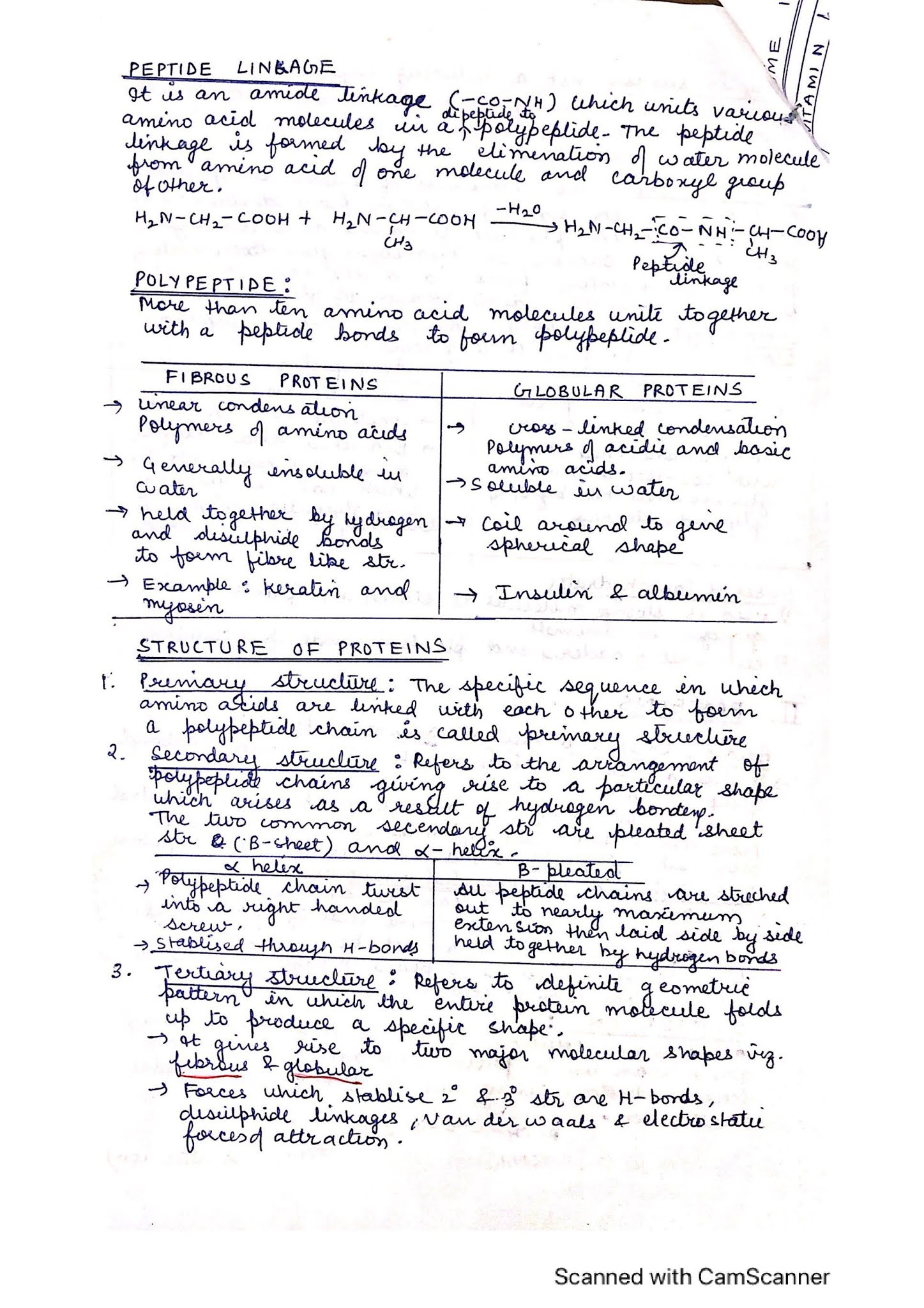 Chemistry Chapter 14- Biomolecules Class 12 Handwritten Notes PDF download