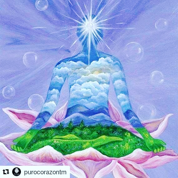 Ser holístico segunda parte