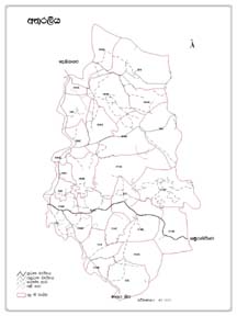 Athuraliya DS Division