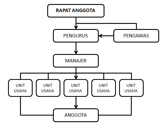 Struktur Organisasi Koperasi
