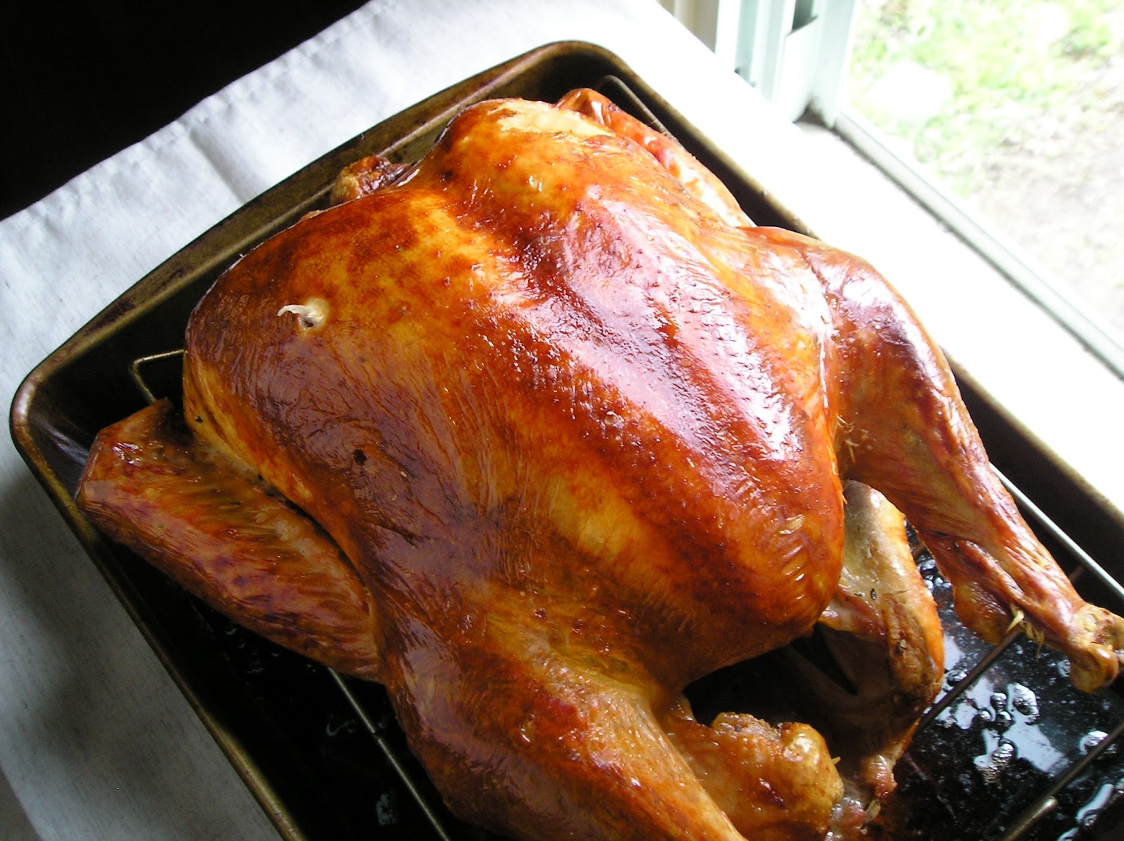 Cheesecloth Turkey ~ Edesia's Notebook