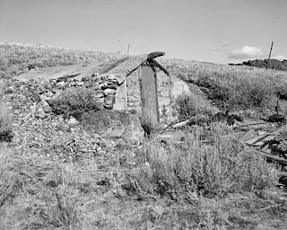 Prairie Bluestem: Memories of a Homesteader's Dugout