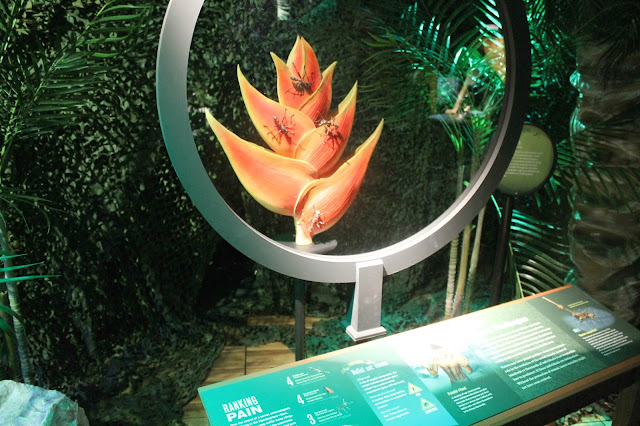 Review: The Power Of Poison Exhibition, London | The story of a girl ...