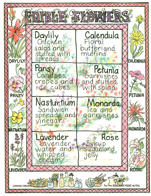 Rosemary's Sampler: Edible Flowers Chart