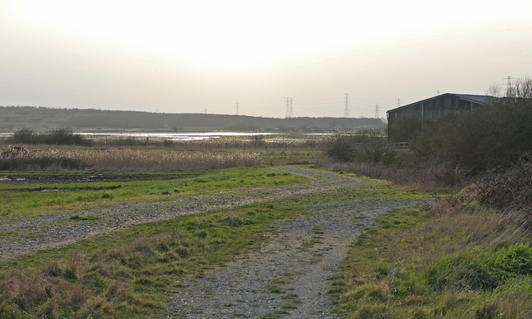 Bowers Marsh walk, February 2021 No. 8