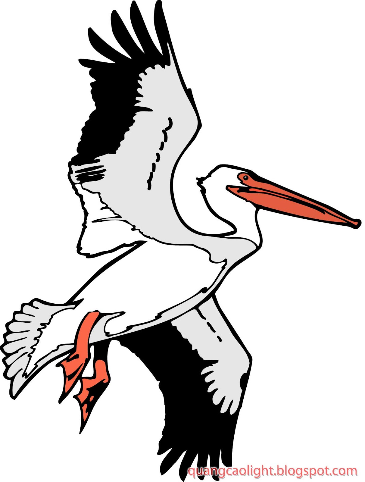 Các loài Chim file Vector (Phần 3) - công ty in ấn