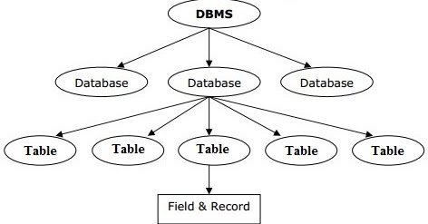 What is Database DBMS and RDBMS - PHP Programming Language