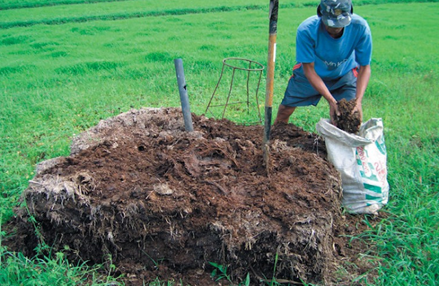 Technonology Guide for Rice Straw Composting with Urea
