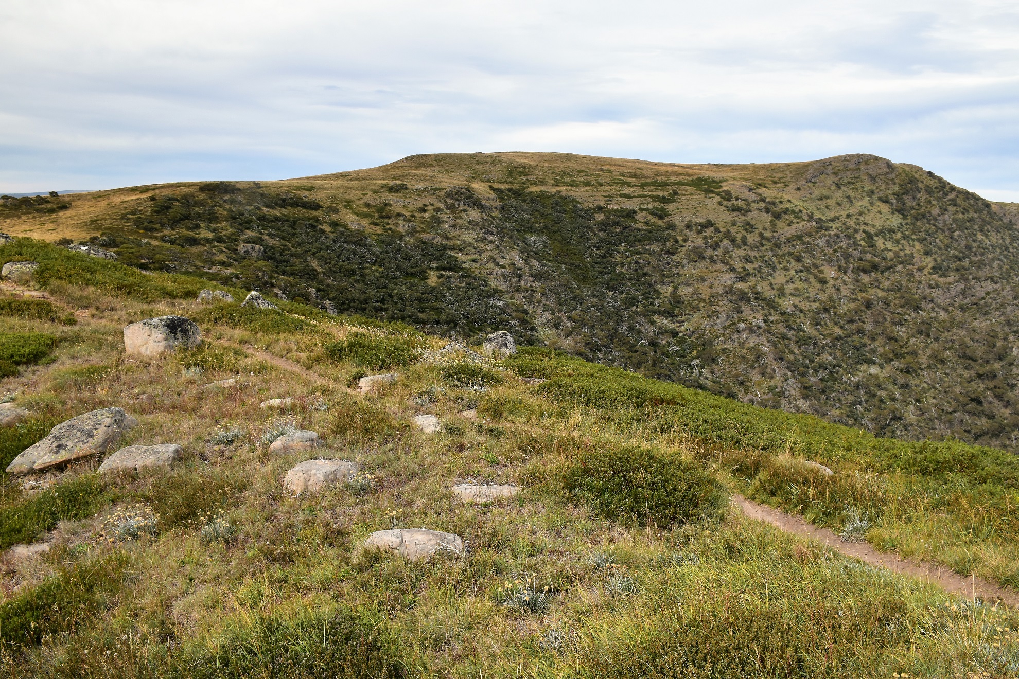 Goin' Feral One Day At A Time: Stanley Name Spur Camp to Upper Howqua ...
