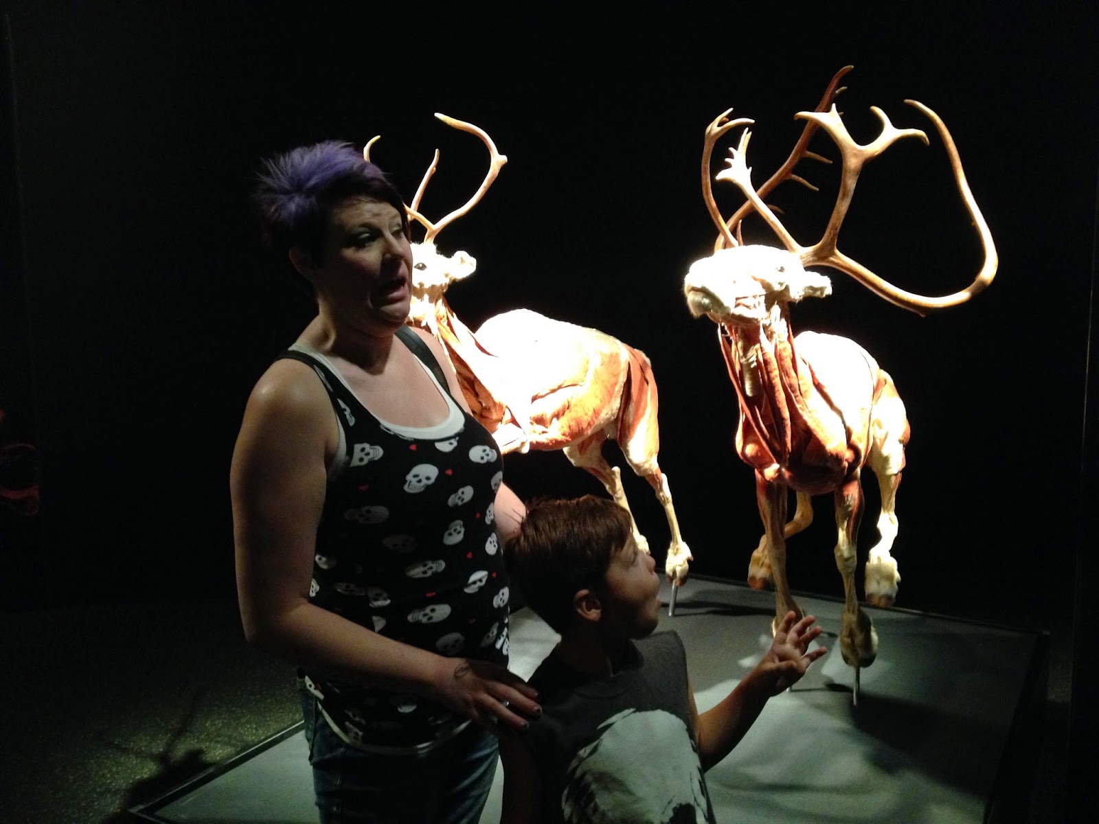 Body World's Animal Inside Out