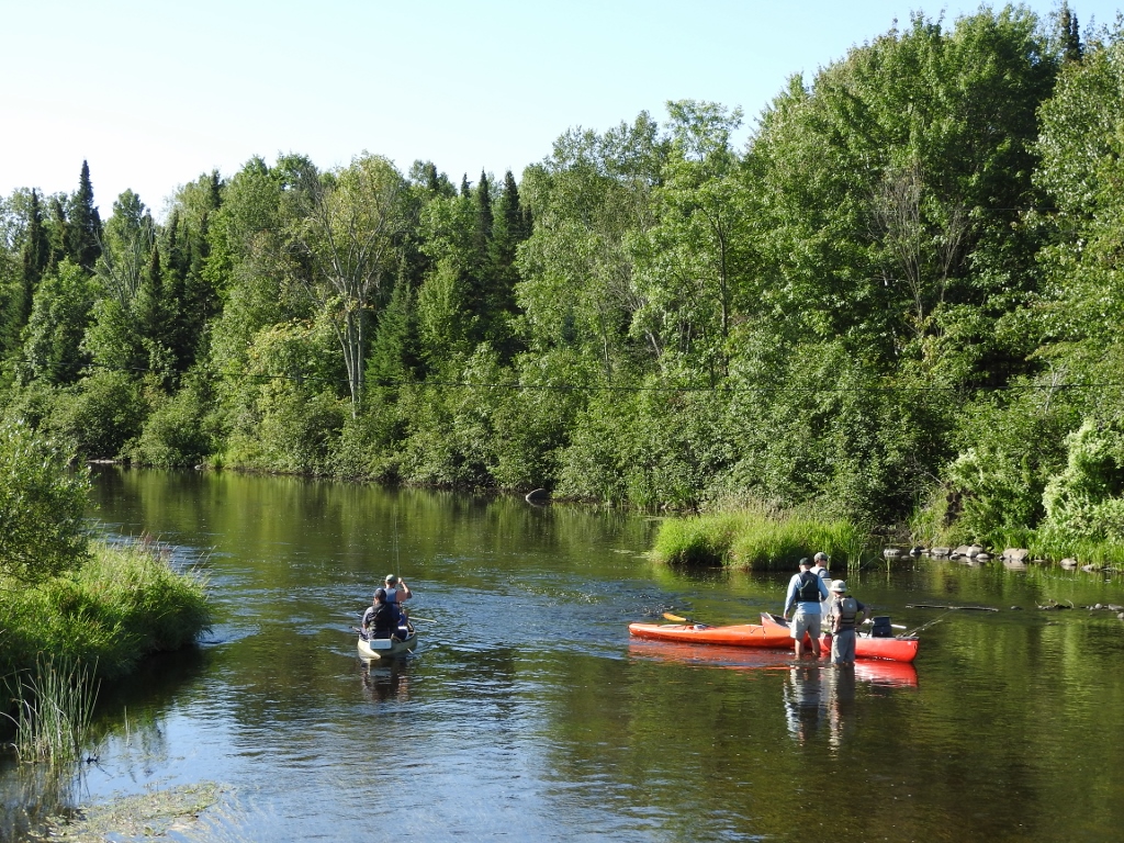 natural connections: A Fishy Day on the Couderay River (Part 1)